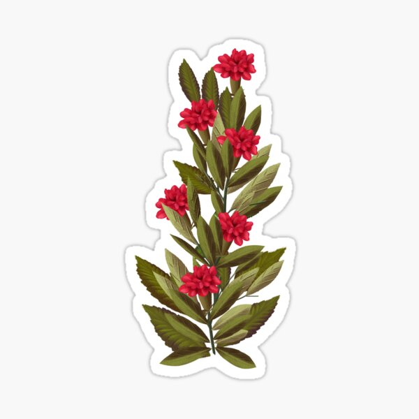 "growing flowers" Sticker for Sale by Cristy-Kristy | Redbubble