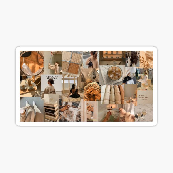 "Aesthetic beige" Sticker for Sale by aesthetic1xoxo | Redbubble