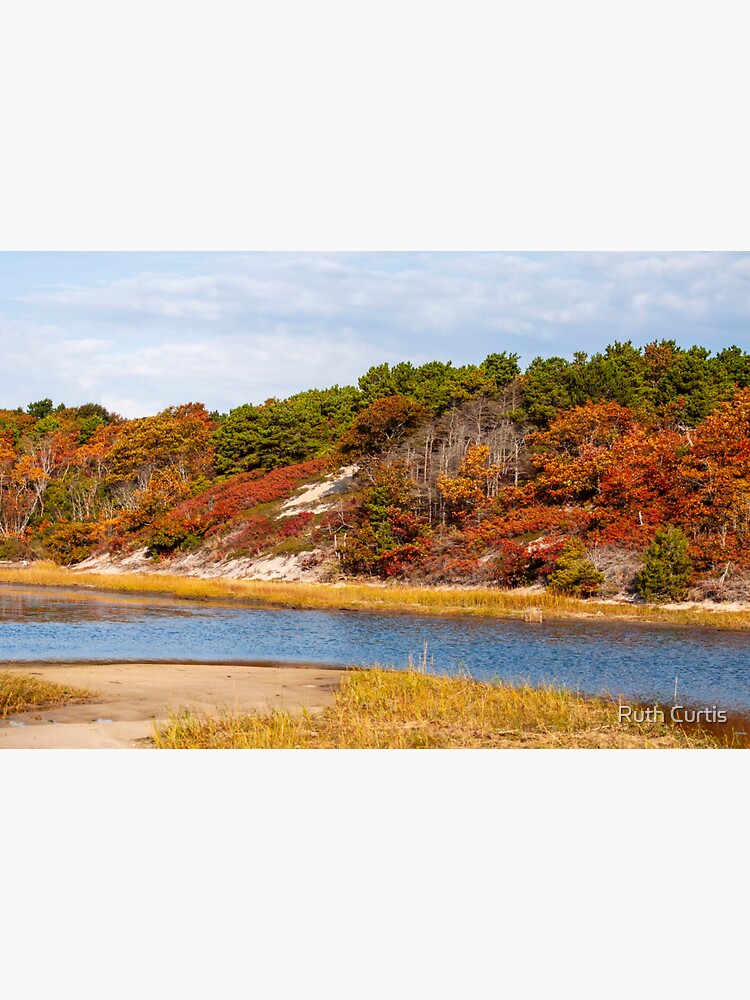 "Autumn Shrubs on Cape Cod, MA" Sticker by Ruthie33 | Redbubble