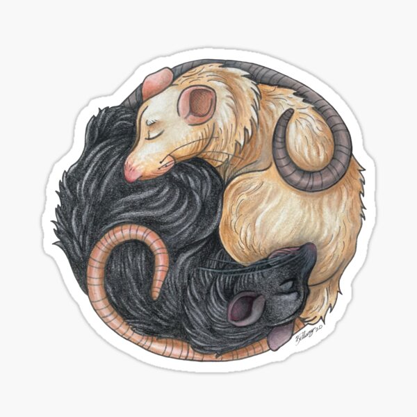 "Rat Yin Yang" Sticker for Sale by Bethanydraws | Redbubble