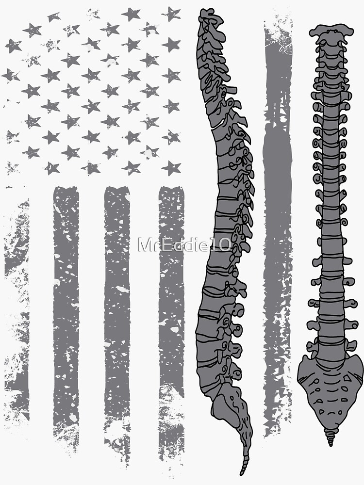 "Chiropractor American Flag Chiropractic Gift" Sticker for Sale by ...