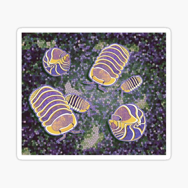 "Isopod Abstract (Cubaris Jupiter)" Sticker for Sale by Jedi-Artist ...