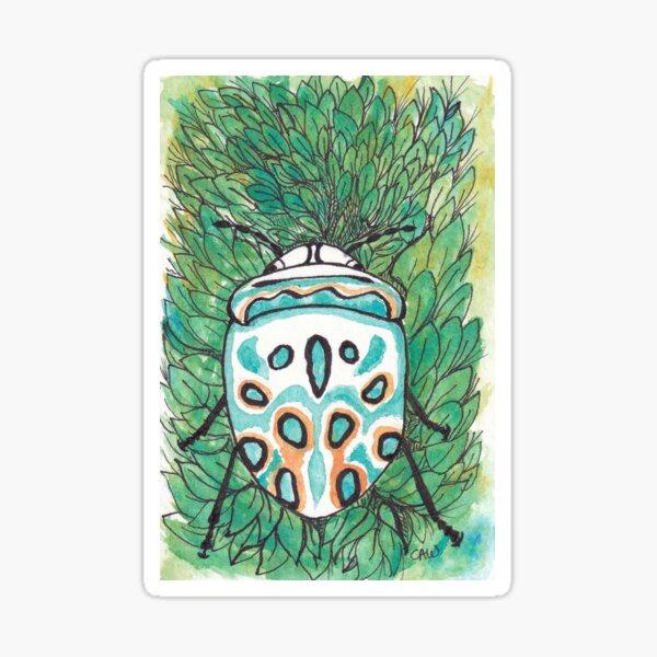 Picasso Bug Gifts & Merchandise | Redbubble
