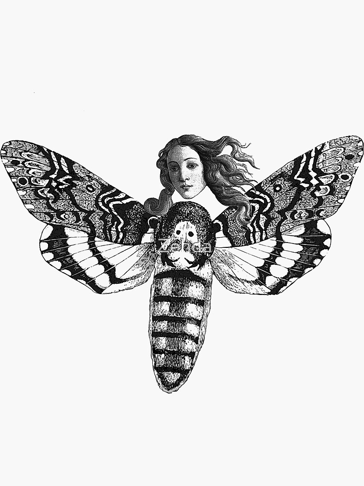 "Venus Metamorphosed Into Moth" Sticker for Sale by Zehda | Redbubble