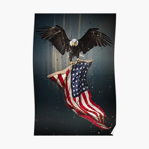 "Bald Eagle American Flag" Poster for Sale by questadesigns | Redbubble