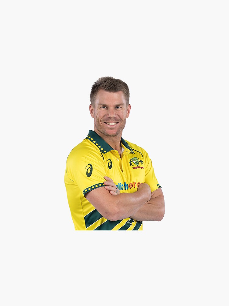"David Warner" Sticker by lukeyp25 | Redbubble