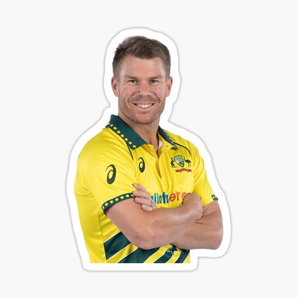 "David Warner" Sticker by lukeyp25 | Redbubble