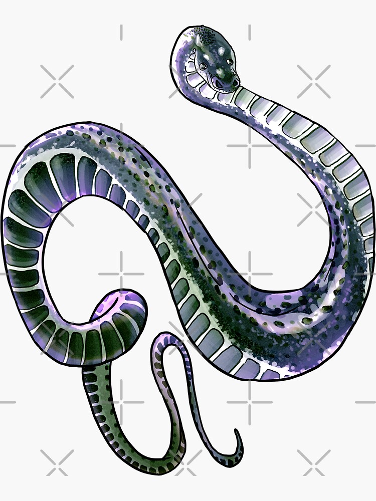 "Xenodermus Javanicus dragon snake" Sticker by KO-of-the-self | Redbubble