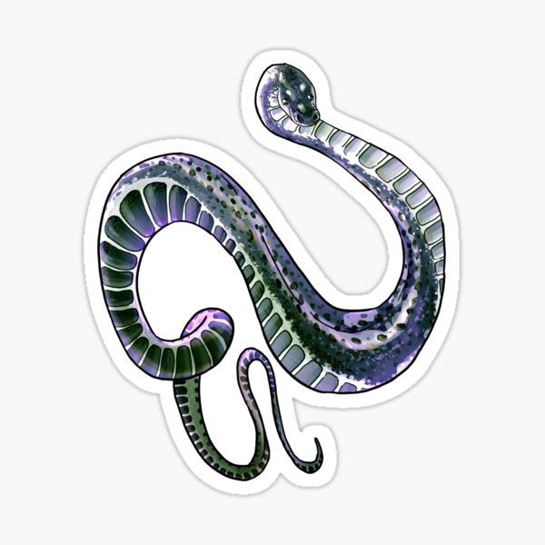 "Xenodermus Javanicus dragon snake" Sticker by KO-of-the-self | Redbubble