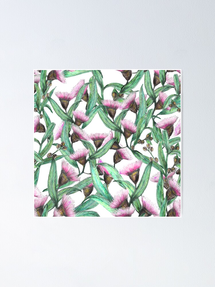 "Pink Australian Wattle " Poster by Traceofcolour | Redbubble