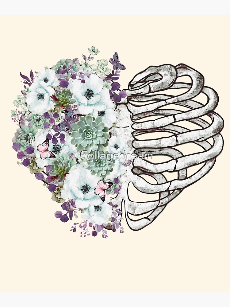 "Rib cage heart shape and flowers succulents plant, rib cage, anatomy ...