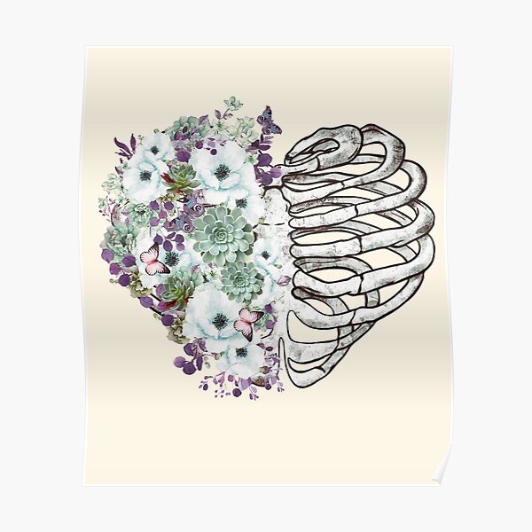 "Rib cage heart shape and flowers succulents plant, rib cage, anatomy ...