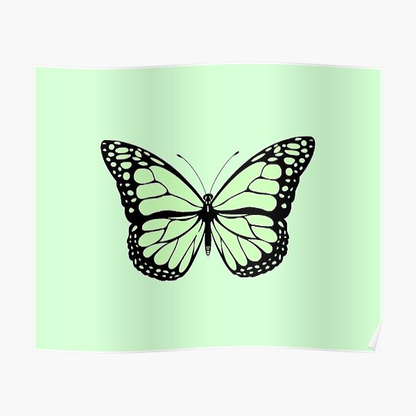 "Mint green butterfly" Poster for Sale by Als10806 | Redbubble