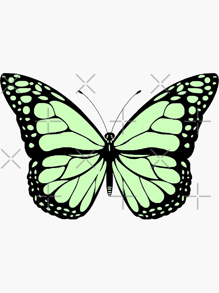 "Mint green butterfly" Sticker for Sale by Als10806 | Redbubble