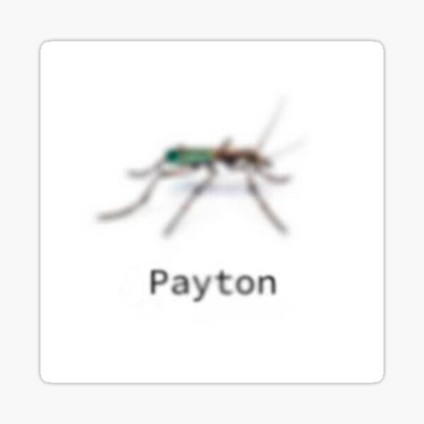 "Payton" Sticker by BalloonLagoon | Redbubble