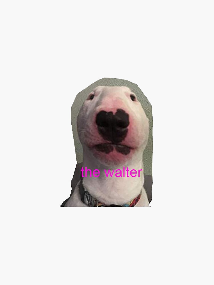 "the walter" Sticker for Sale by Kleinauskas13 | Redbubble