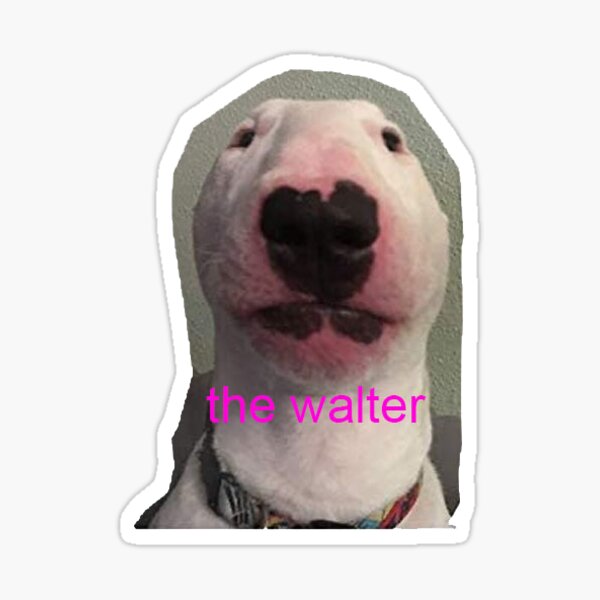 "the walter" Sticker for Sale by Kleinauskas13 | Redbubble