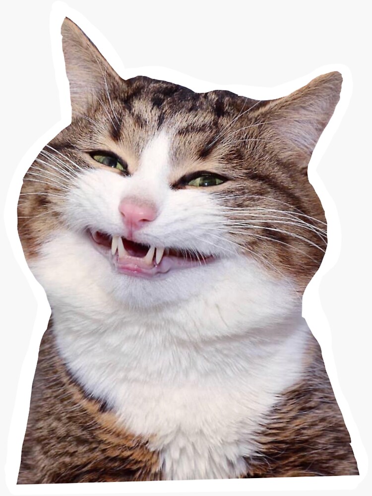 "Happy cat meme" Sticker for Sale by RubyCreations13 | Redbubble