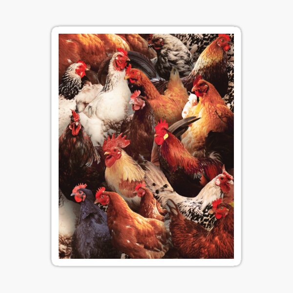 "Hens" Sticker by MaxencePierrard | Redbubble