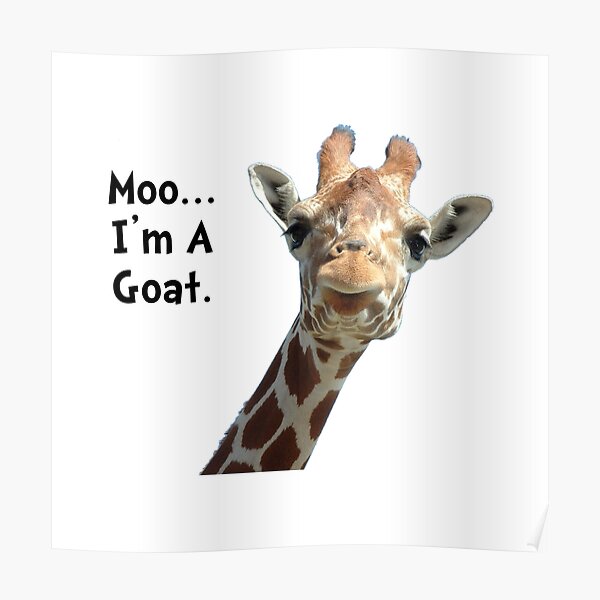 "Moo Giraffe Goat" Poster by TheBestStore | Redbubble