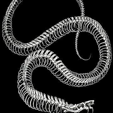 "Snake skeleton" Art Print for Sale by Varg Massari | Redbubble