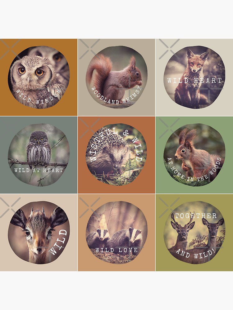 "Cute Woodland Animals Wild Forest Patchwork Creatures Nature ...