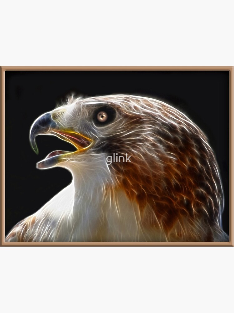 "Eagle Eye" Poster by glink | Redbubble