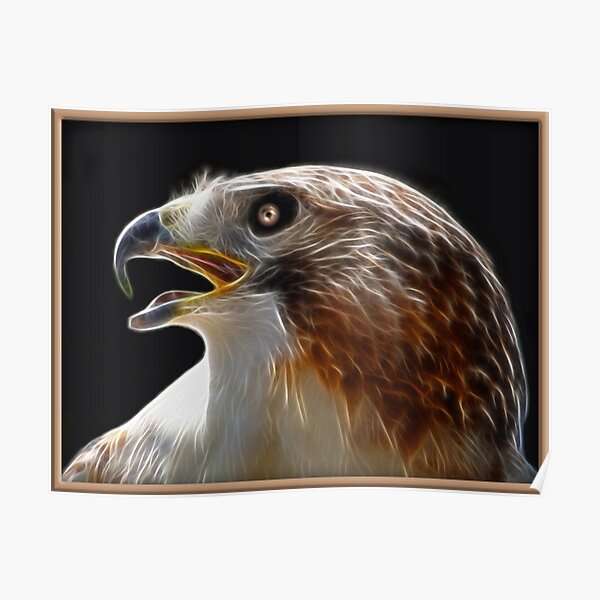 "Eagle Eye" Poster by glink | Redbubble