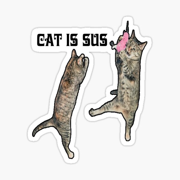 "cat is sus" Sticker by Arg-art | Redbubble