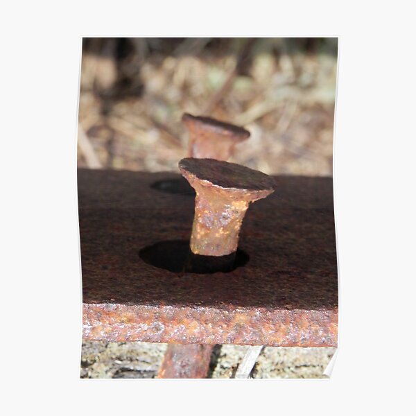 "Rusty Spike" Poster for Sale by MarthaMedford | Redbubble