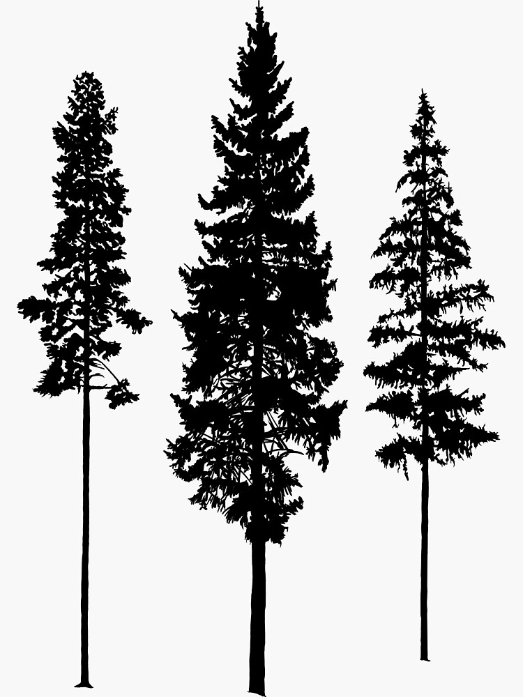 "Minimalist Skinny Pine Trees" Sticker for Sale by fighting4nature ...