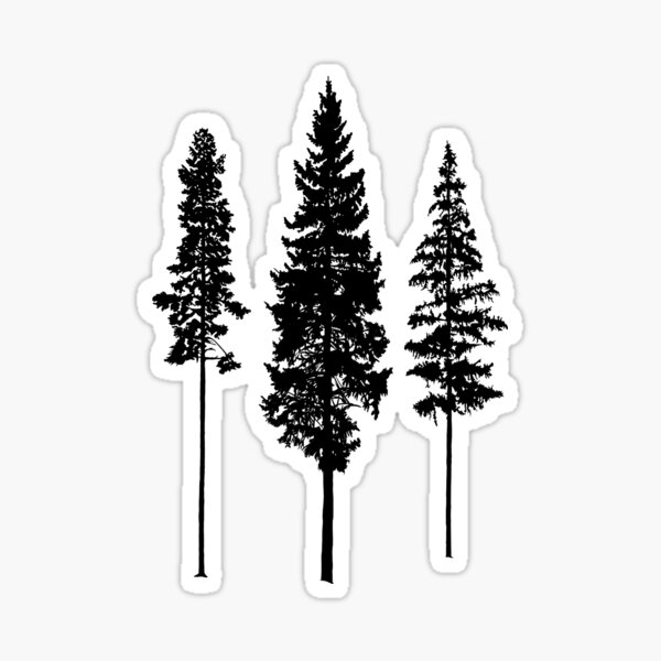 "Minimalist Skinny Pine Trees" Sticker for Sale by fighting4nature ...