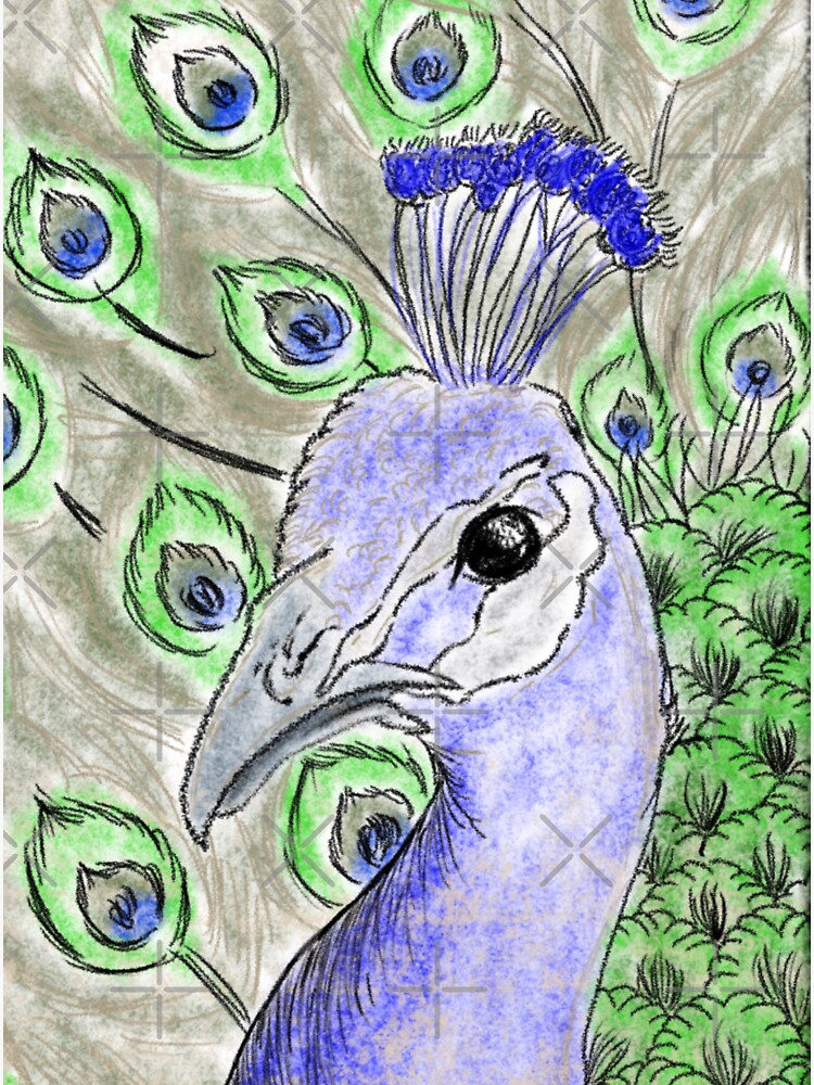 "2D peacock" Sticker for Sale by DrawingBeans | Redbubble