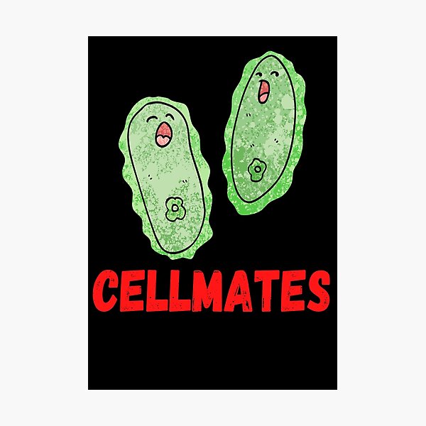"CELLMATES FUNNY CELLS RESEARCH /Micro" Photographic Print by ...