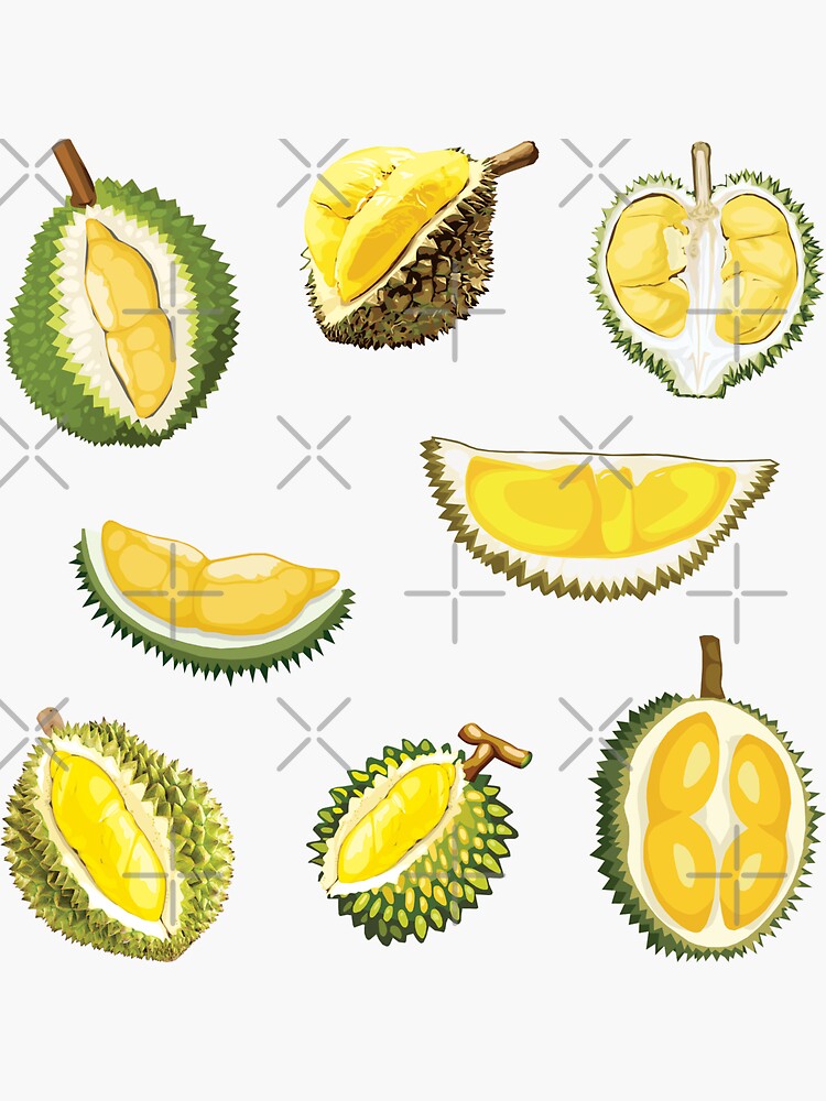 "Durian Set" Sticker for Sale by KewaleeTee | Redbubble