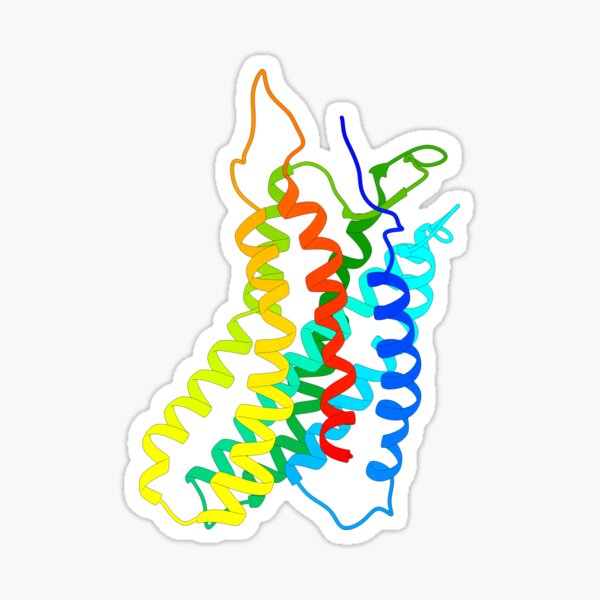 "G Protein-Coupled Receptor (GPCR)" Sticker by 3D-Biology | Redbubble