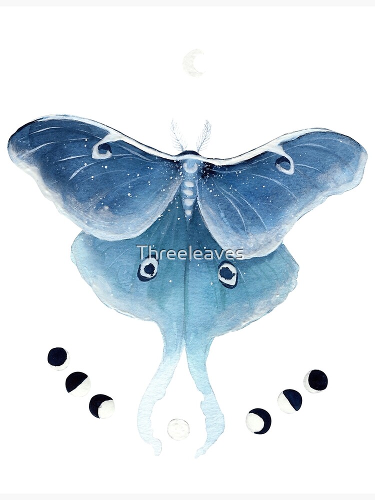 "Moon Butterfly" Poster for Sale by Threeleaves | Redbubble