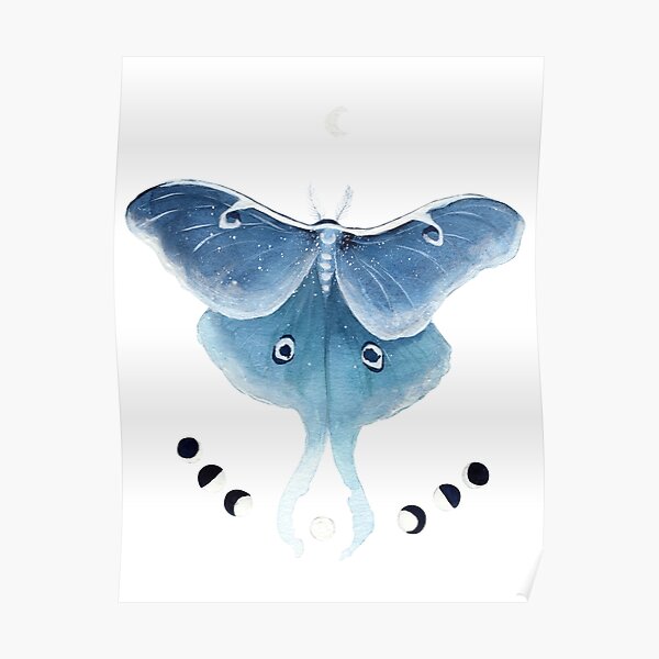 "Moon Butterfly" Poster for Sale by Threeleaves | Redbubble