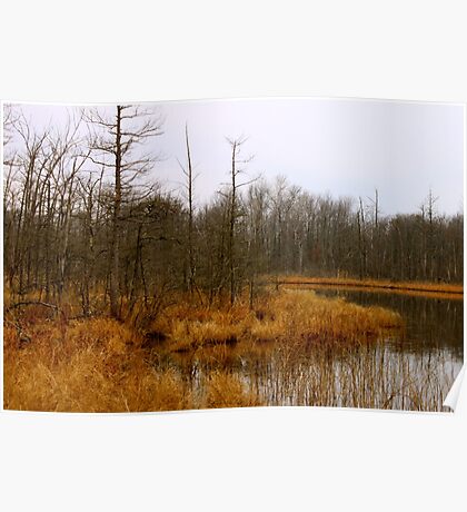 Timberland: Posters | Redbubble