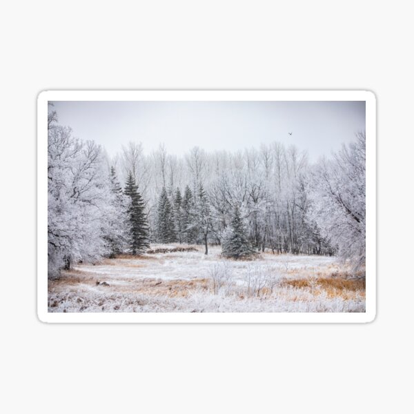 "Winter Frosty Forest" Sticker for Sale by Vargulich | Redbubble