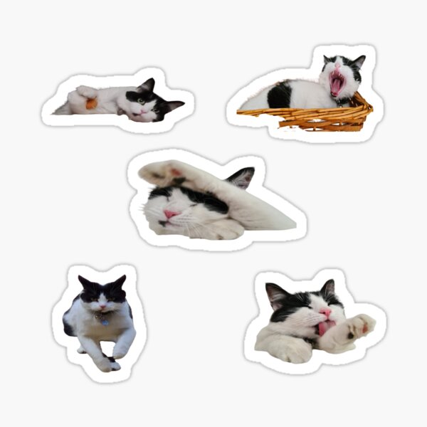 "Happy Dapping Cat " Sticker for Sale by Loubie2 | Redbubble