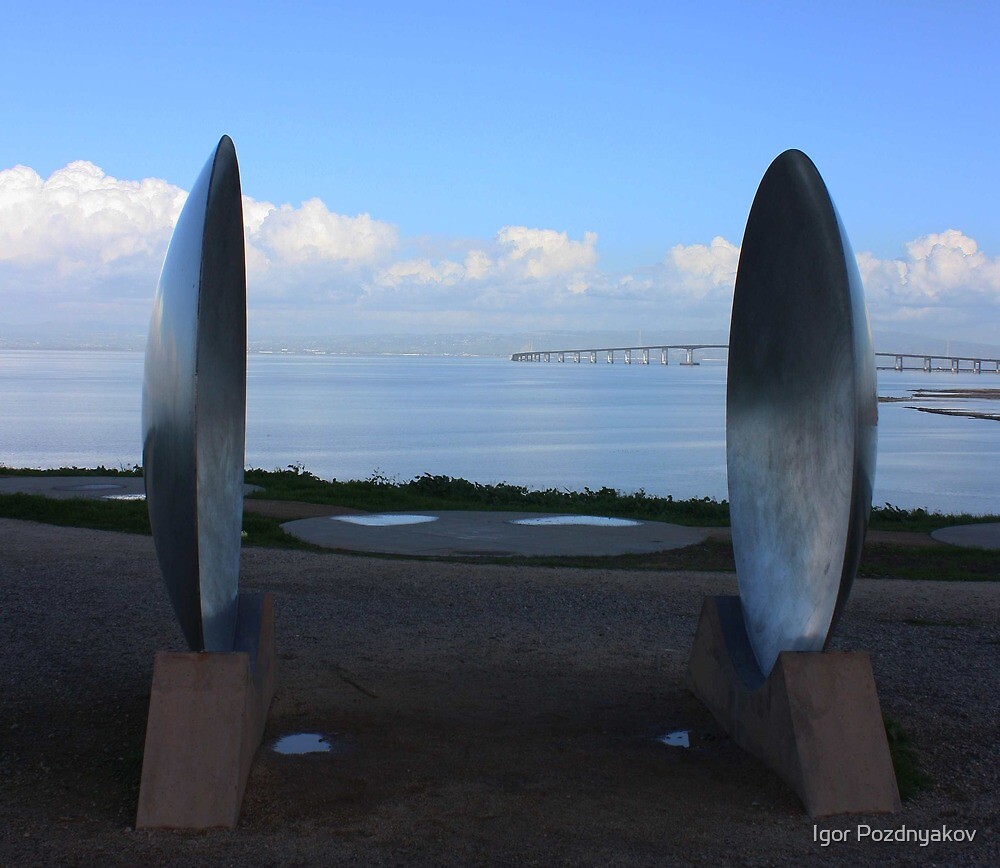 "San Mateo Park Sculptures, San Francisco Bay Area" by Igor Pozdnyakov ...