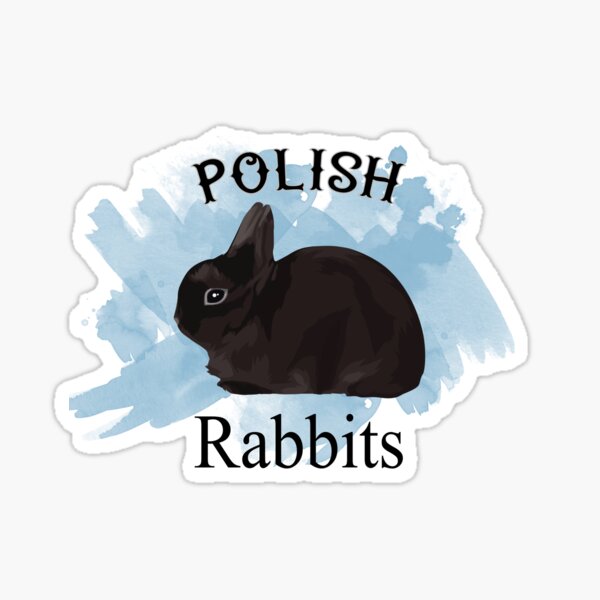 Chinchilla Netherland Dwarf Bunny Sticker Rabbit Vinyl | atelier-yuwa ...