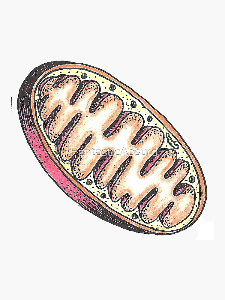 "Mighty Mitochondria" Sticker by FantasticAbsurd | Redbubble
