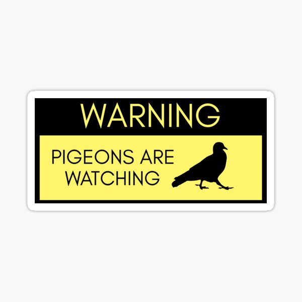 "Warning - Pigeons Are Watching" Sticker for Sale by JessicaR-Art ...