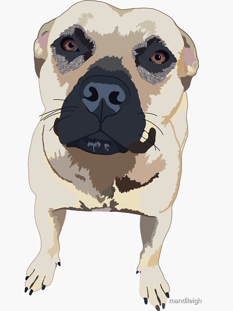"Hazel Dog" Sticker for Sale by mandileigh | Redbubble
