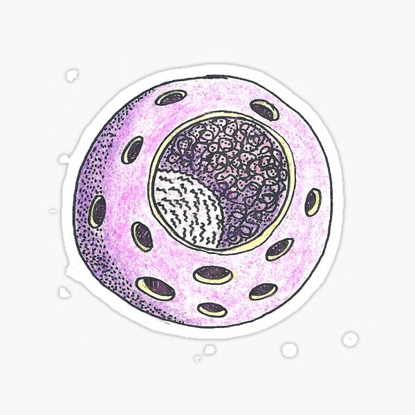 "Nucleus, the Brain of the Cell" Sticker for Sale by FantasticAbsurd ...