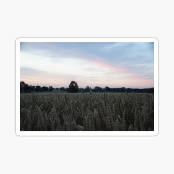 Cornfield Stickers | Redbubble