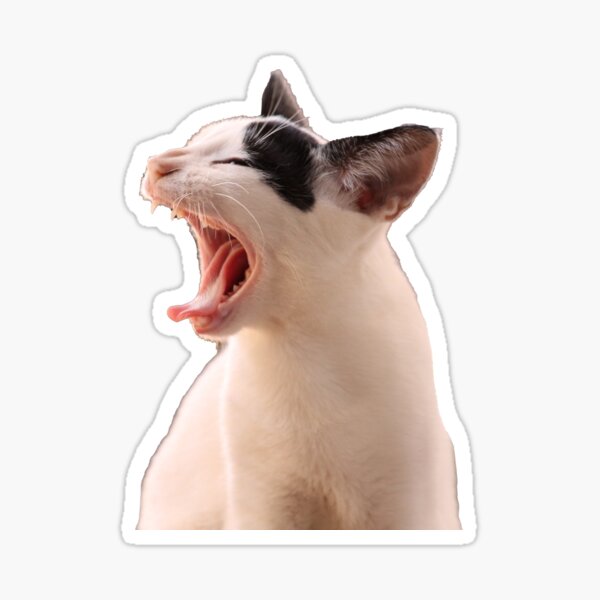 "Yawning Kitty" Sticker for Sale by VividElements | Redbubble