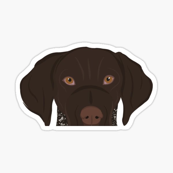 "Curious Shorthaired Pointer" Sticker for Sale by kherrin | Redbubble